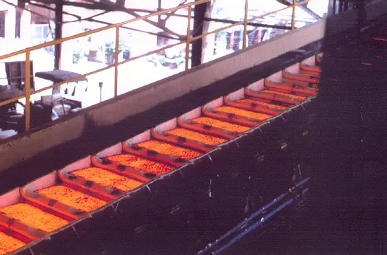 Pig Casting Machine (PCM) – Inclined Chain Conveyor System